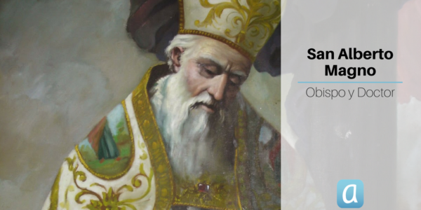 15 de noviembre: San Alberto Magno - Arguments